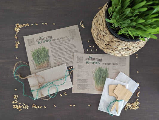 Potting Mad - DIY Pet Greens Kits